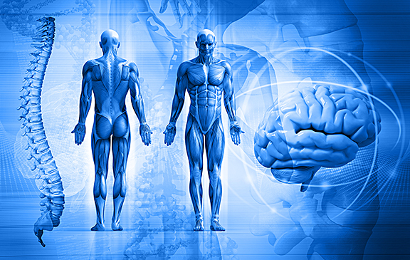 Diagnostic Organ, Tissue, or Implanted Device Recovery | Private ...